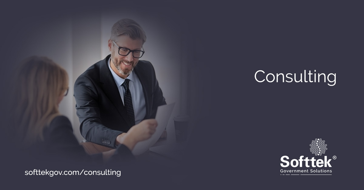 Consulting | Softtek Government Solutions